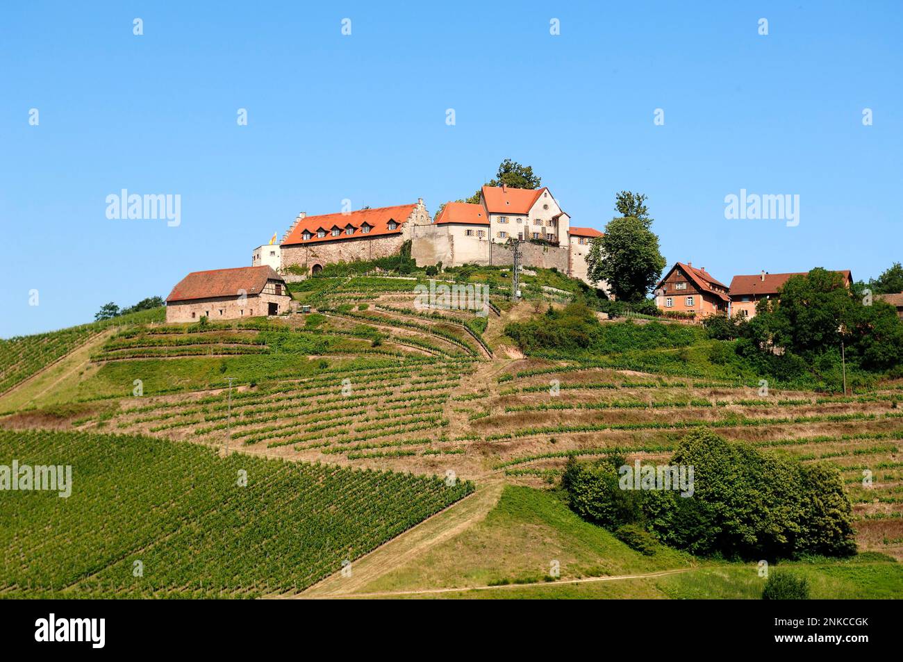 Wuerttemberg castle hi-res stock photography and images - Alamy
