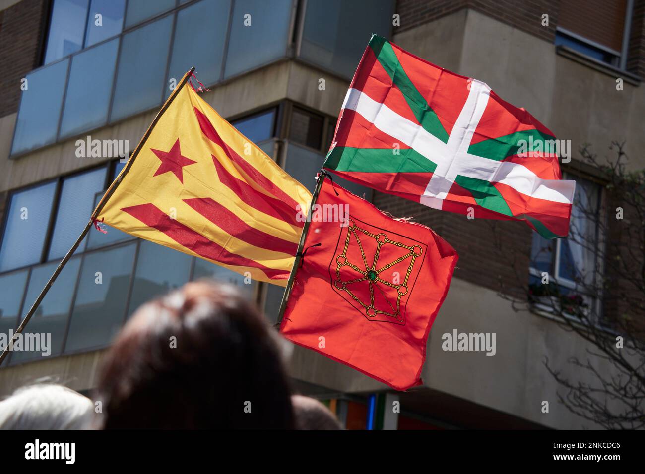 Different Culture Flags Being Held