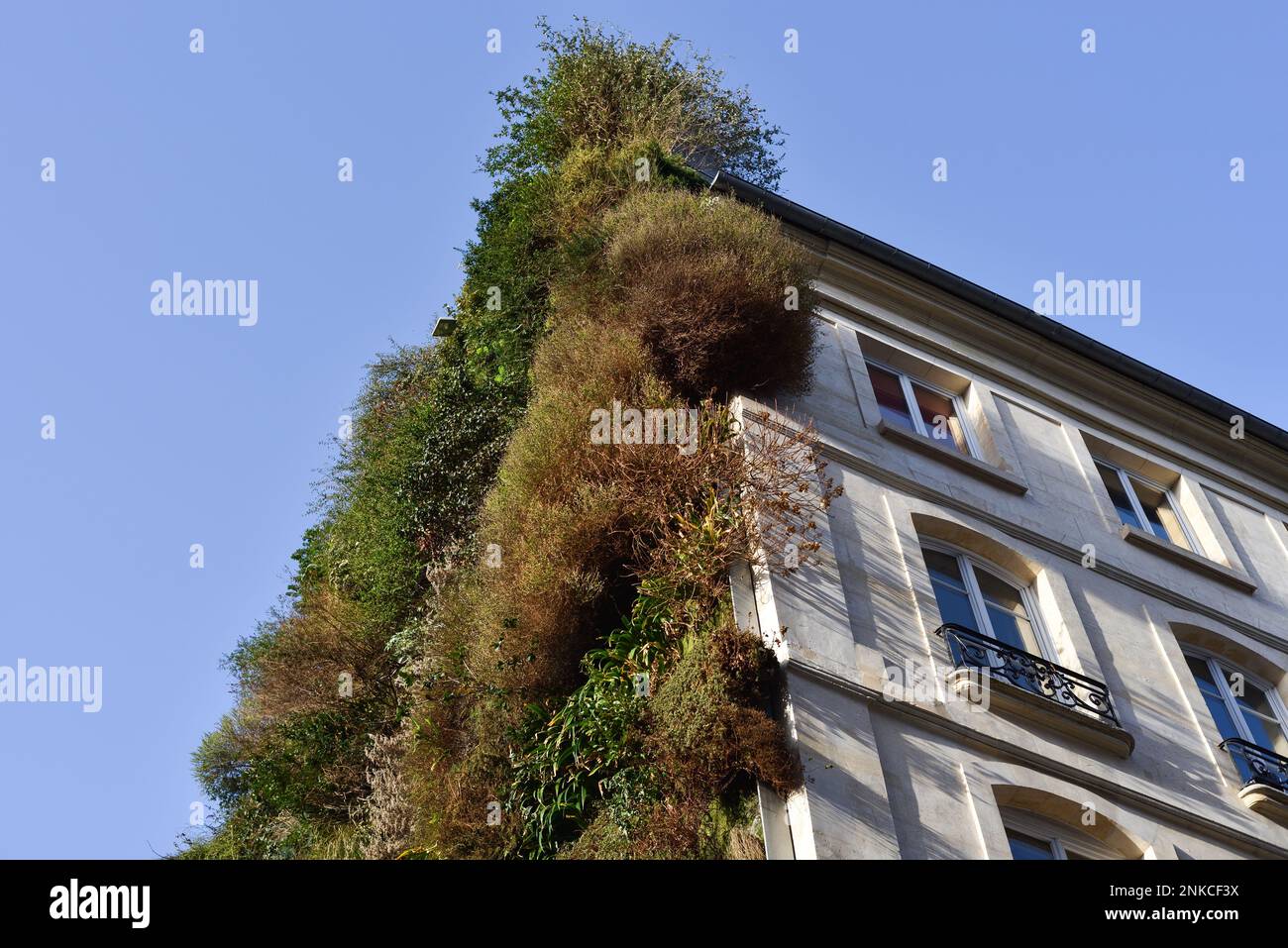 Facade of a Parisian Apartment Building Covered with Plants, France ...