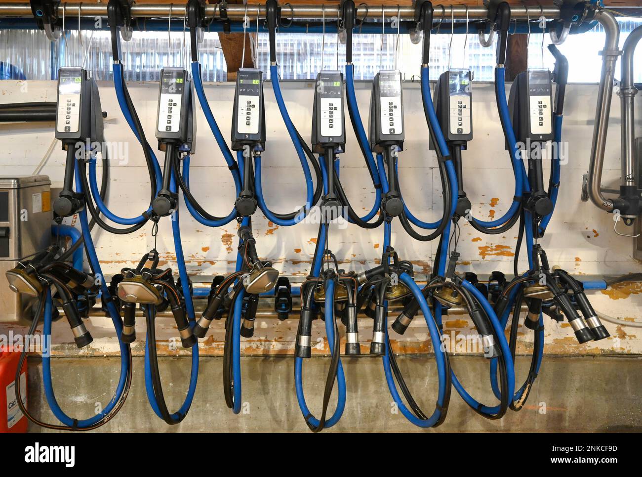 Milking machine hi-res stock photography and images - Alamy