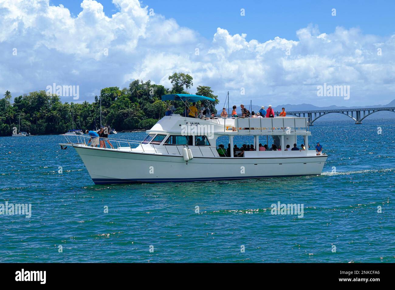 Whale watching boat, Samana, Las Terrenas, Dominican Republic ...