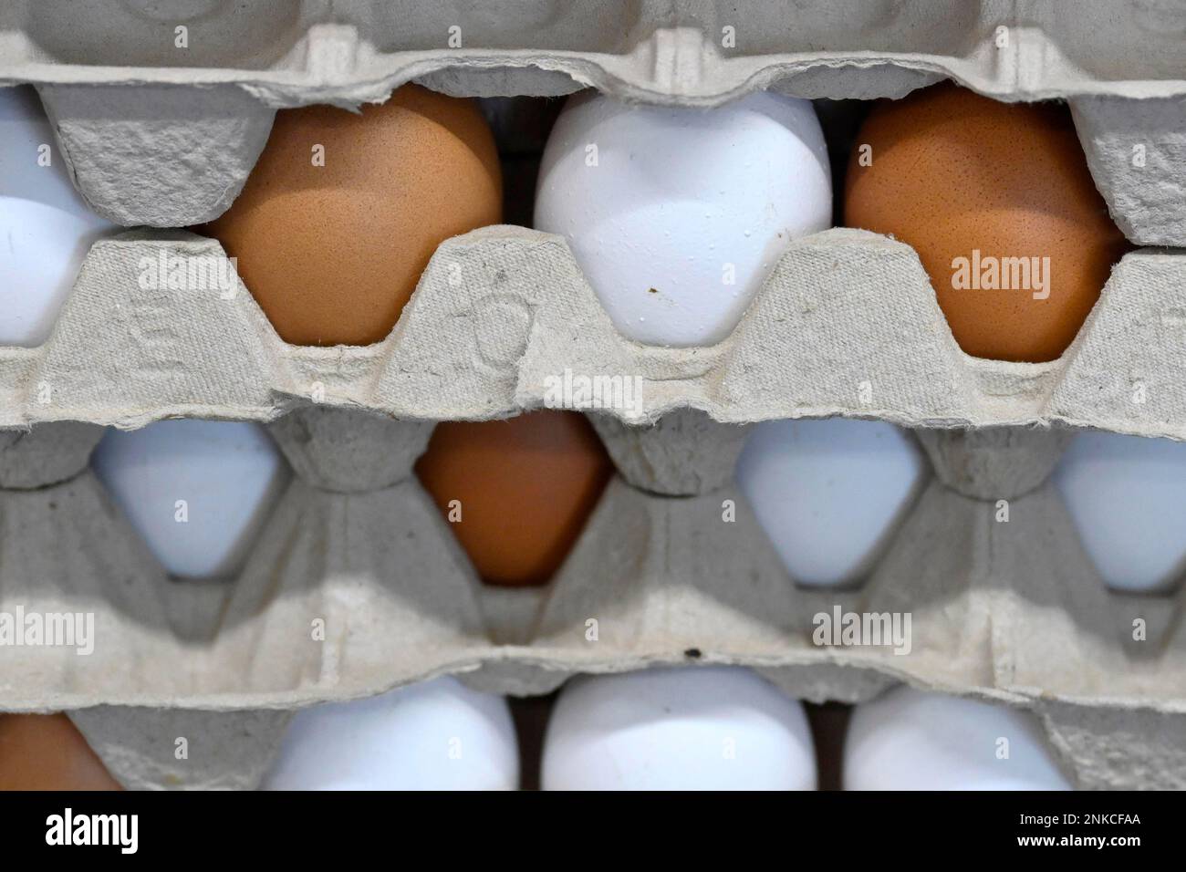 Egg carton eggs Stock Photo - Alamy