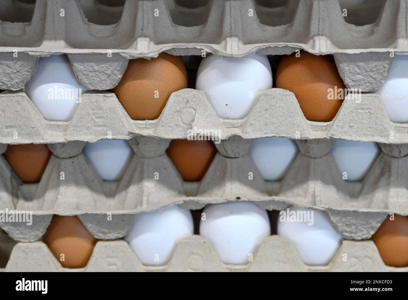 Egg carton eggs Stock Photo - Alamy