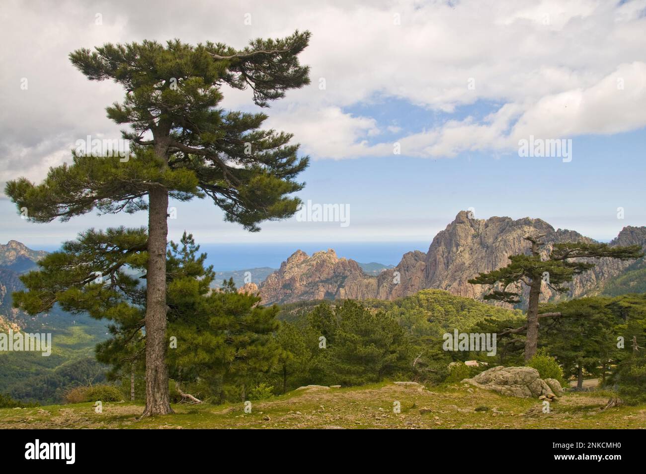 The Bavella Massif in Eastern Corsica, France Stock Photo - Alamy