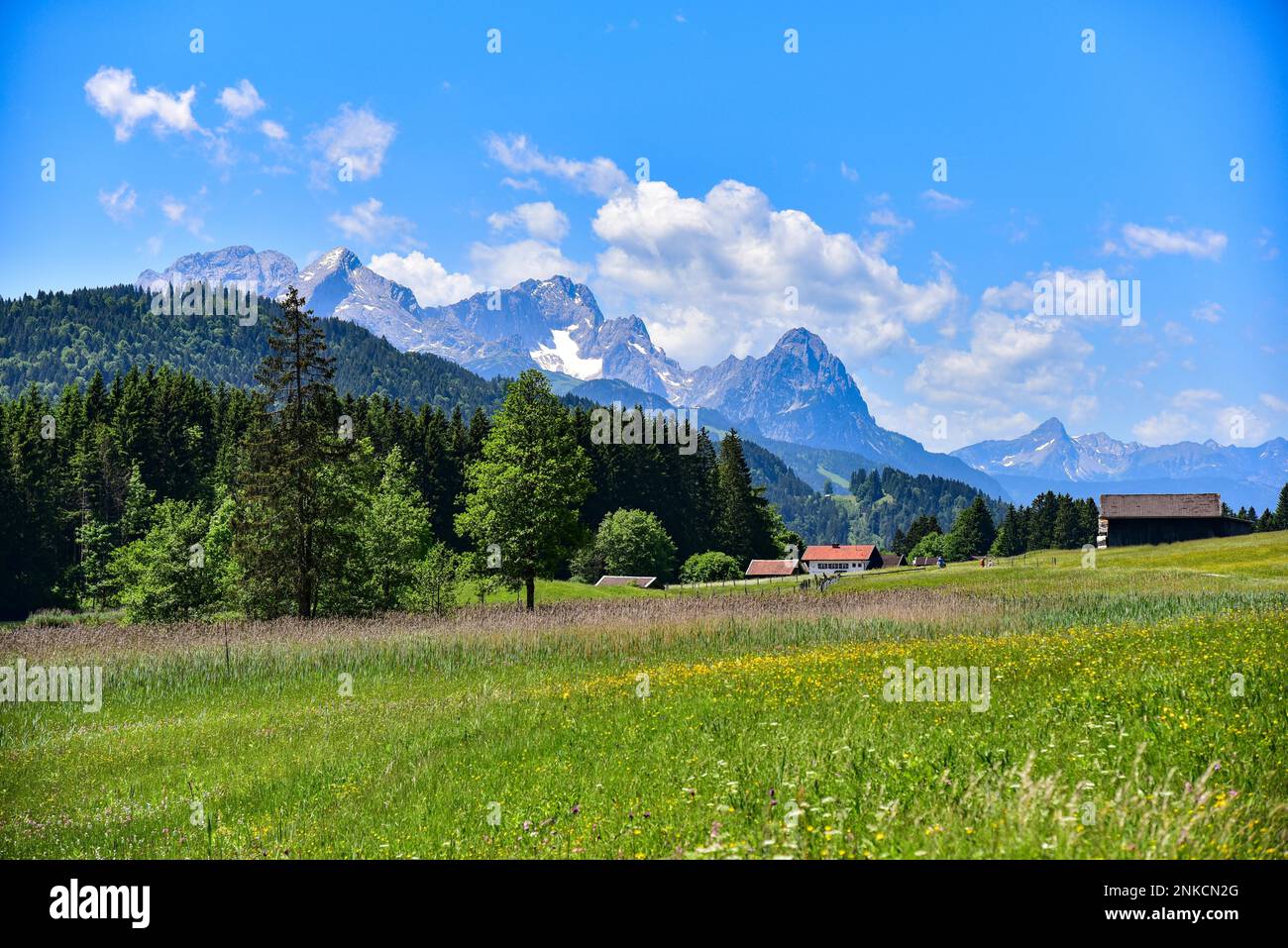 Alpine meadow in summer near Garmisch, in the background the Alpspitze ...