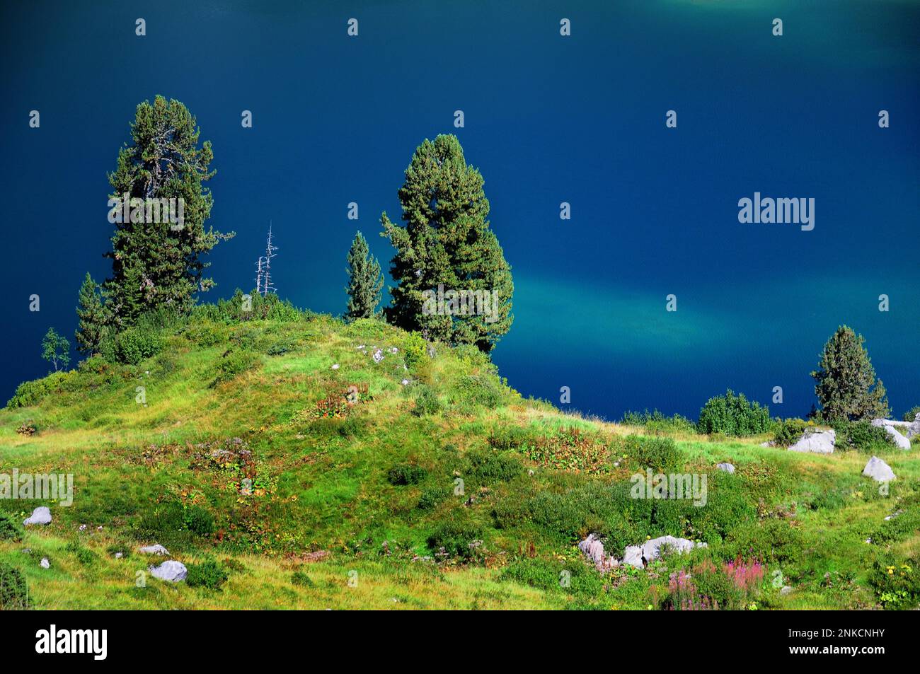 Formarinsee, Dalaas, Lechquellen Mountains, Vorarlberg, Austria Stock ...