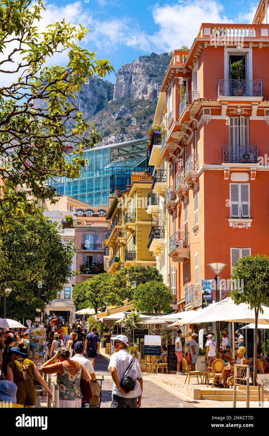 Monaco, France - August 2, 2022: Panoramic view of dense residential ...