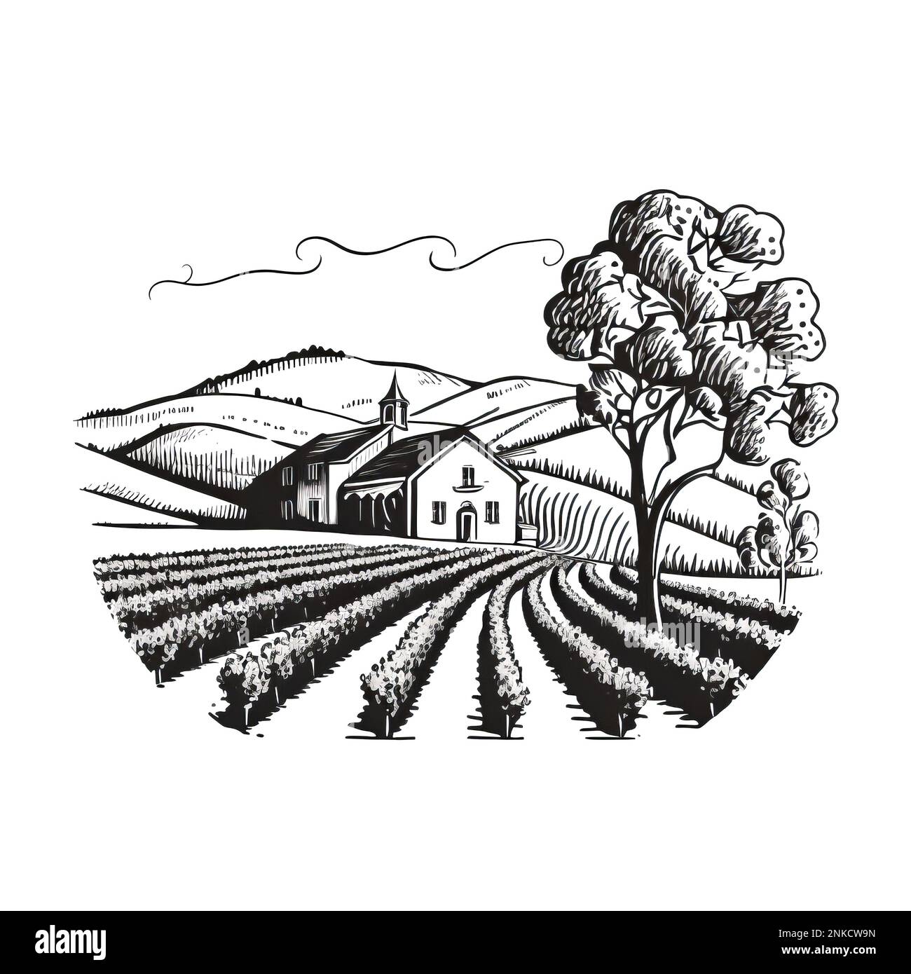 Vine farm Cut Out Stock Images & Pictures - Alamy