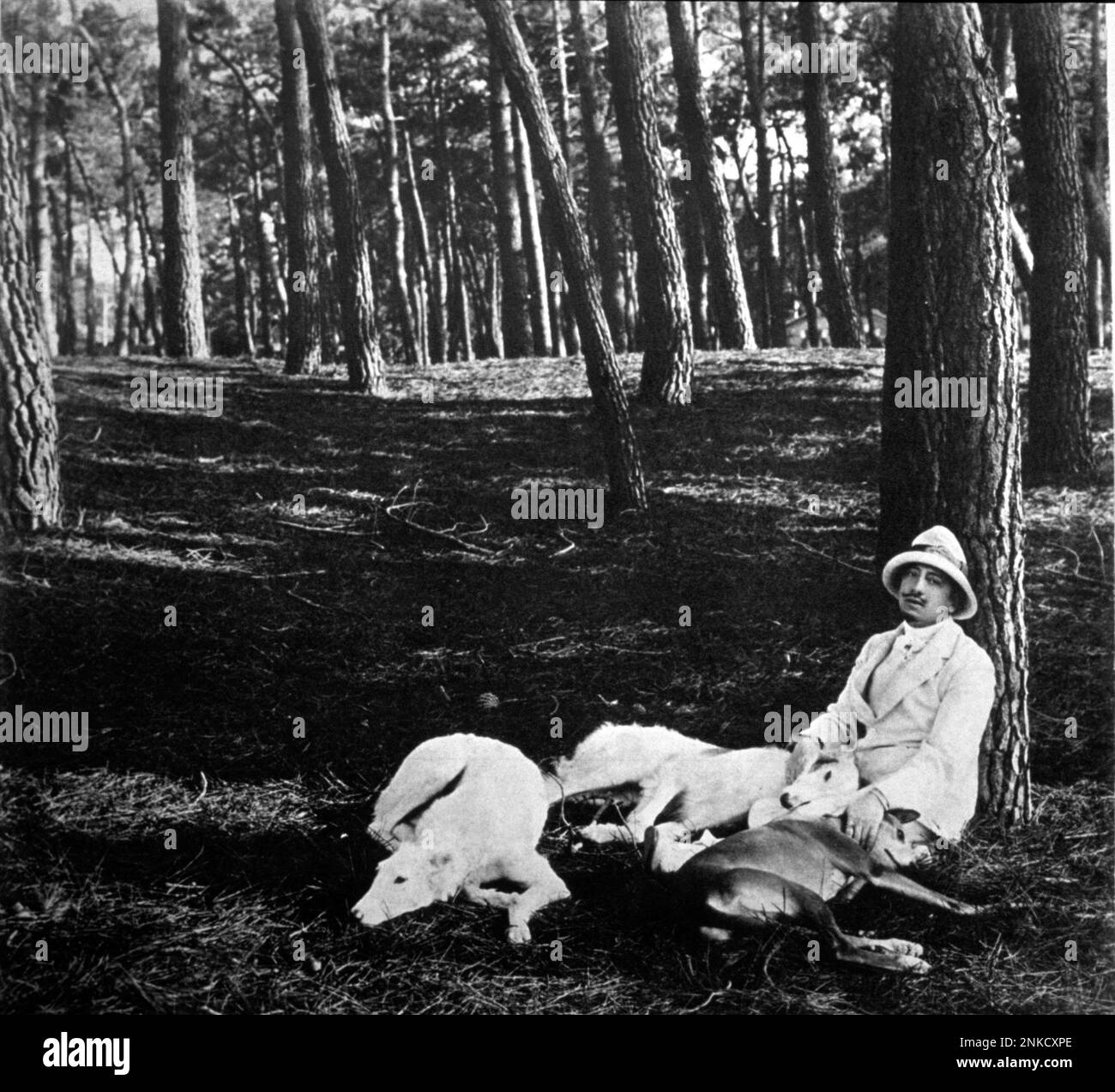 Baffi cani hi-res stock photography and images - Alamy