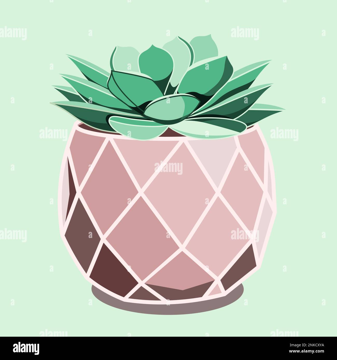 Cacti succulents in pots Stock Vector Images - Alamy