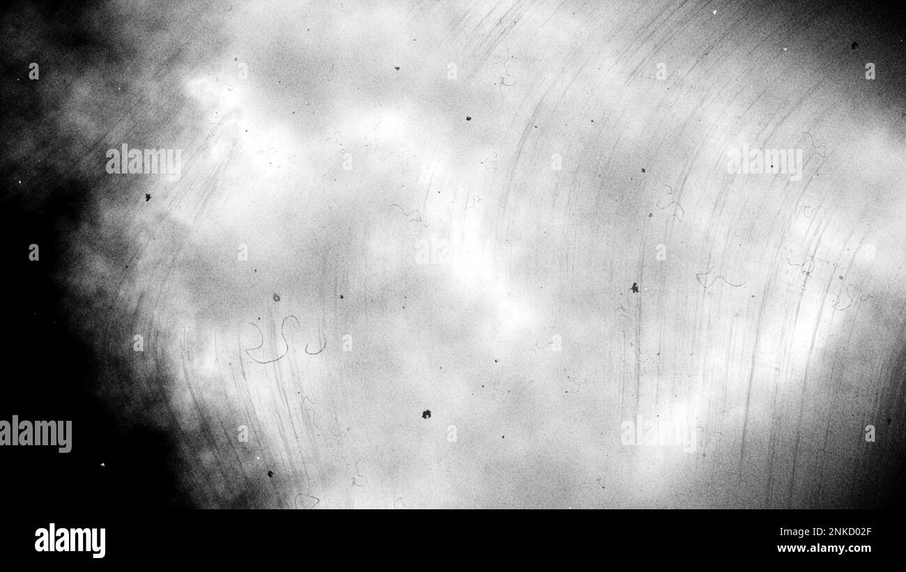 Old Film Grain Texture