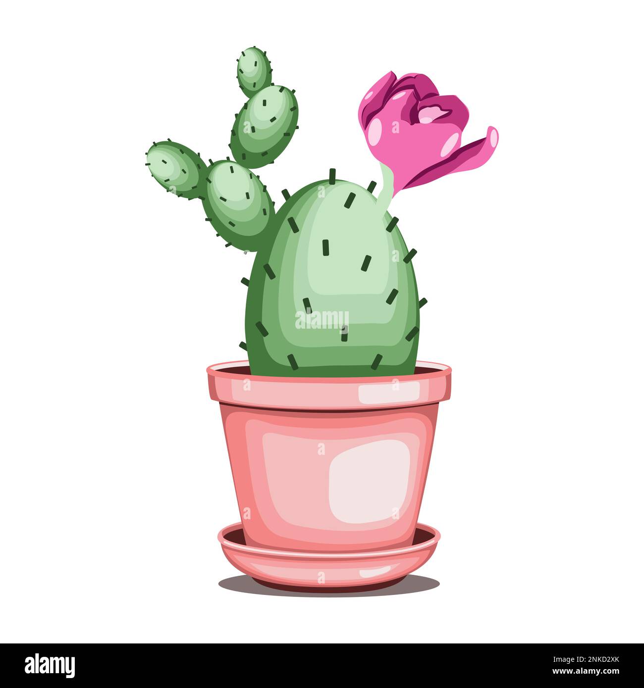 Succulents cacti in pots Stock Vector Images - Alamy