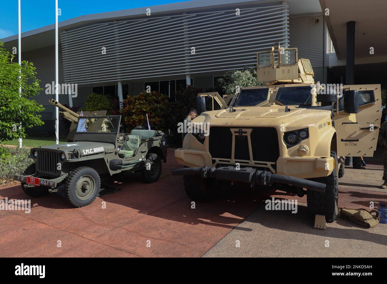 Nt muster hi-res stock photography and images - Alamy