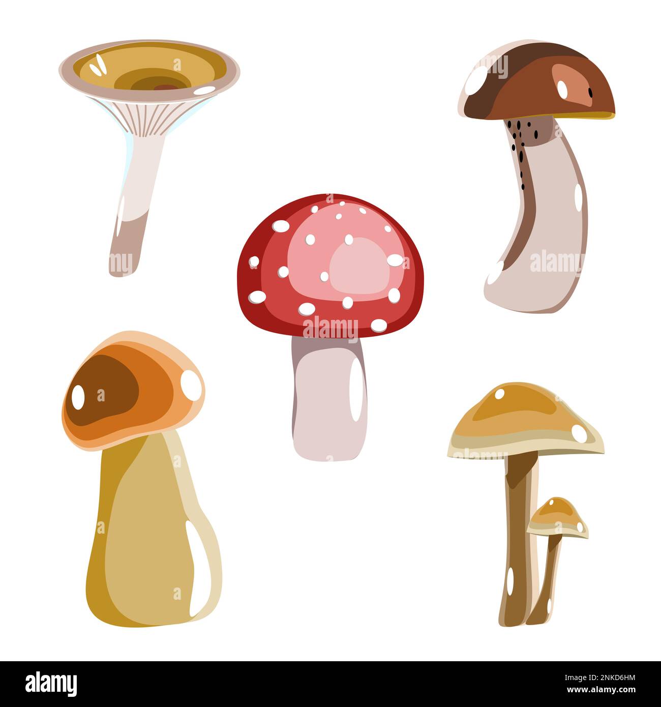 Vector illustration with different types of mushrooms in flat technique ...