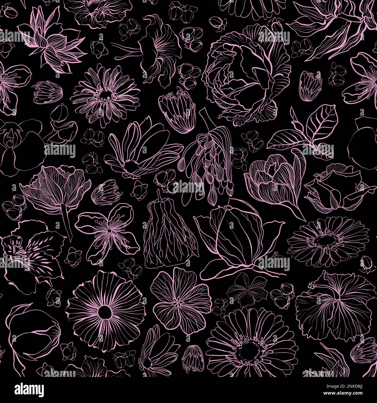 Magnolia botanical illustration pattern hi-res stock photography and ...