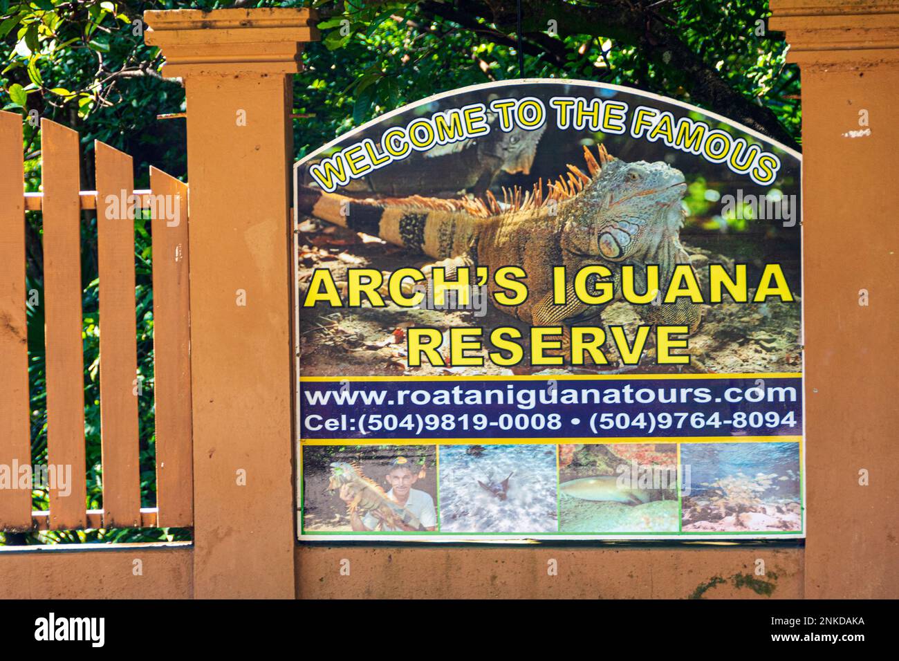 Roatan honduras island vacation vacationing tropical paradise holiday ...