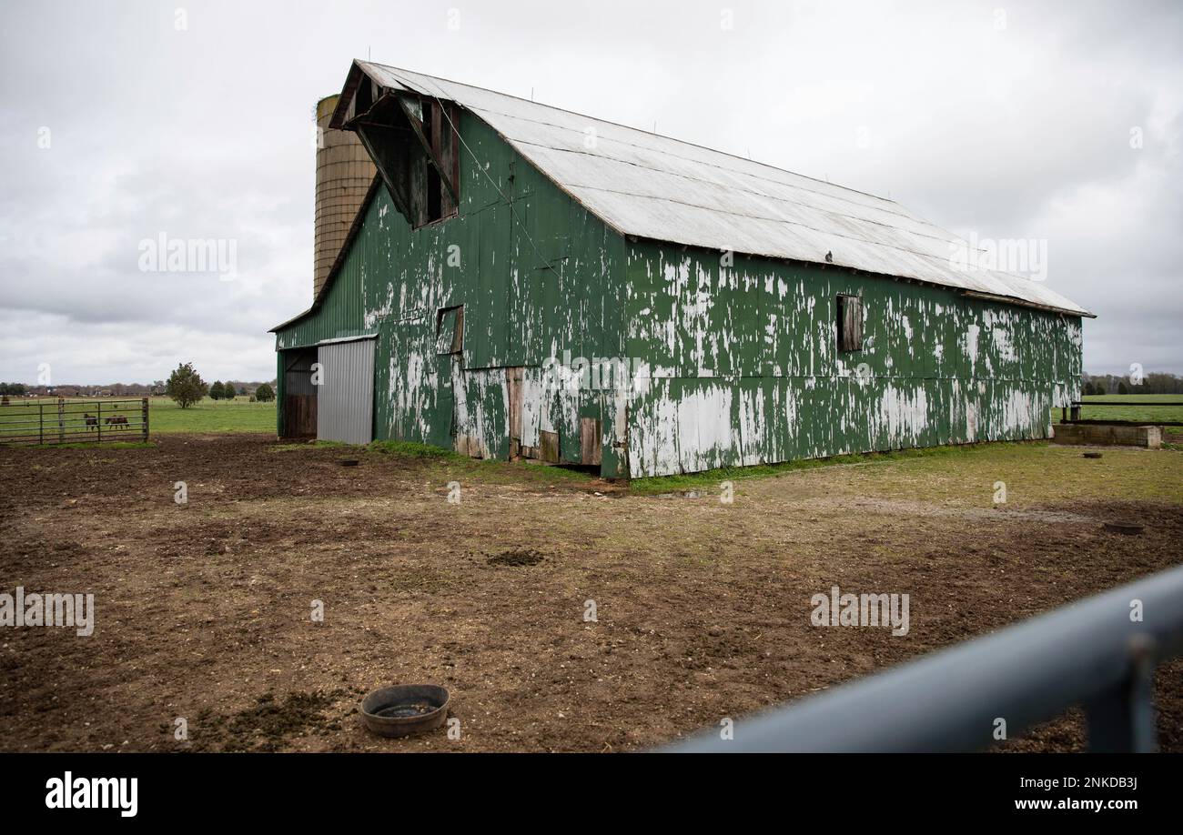 Horses roam around in the pasture behind one of the oldest barns at ...