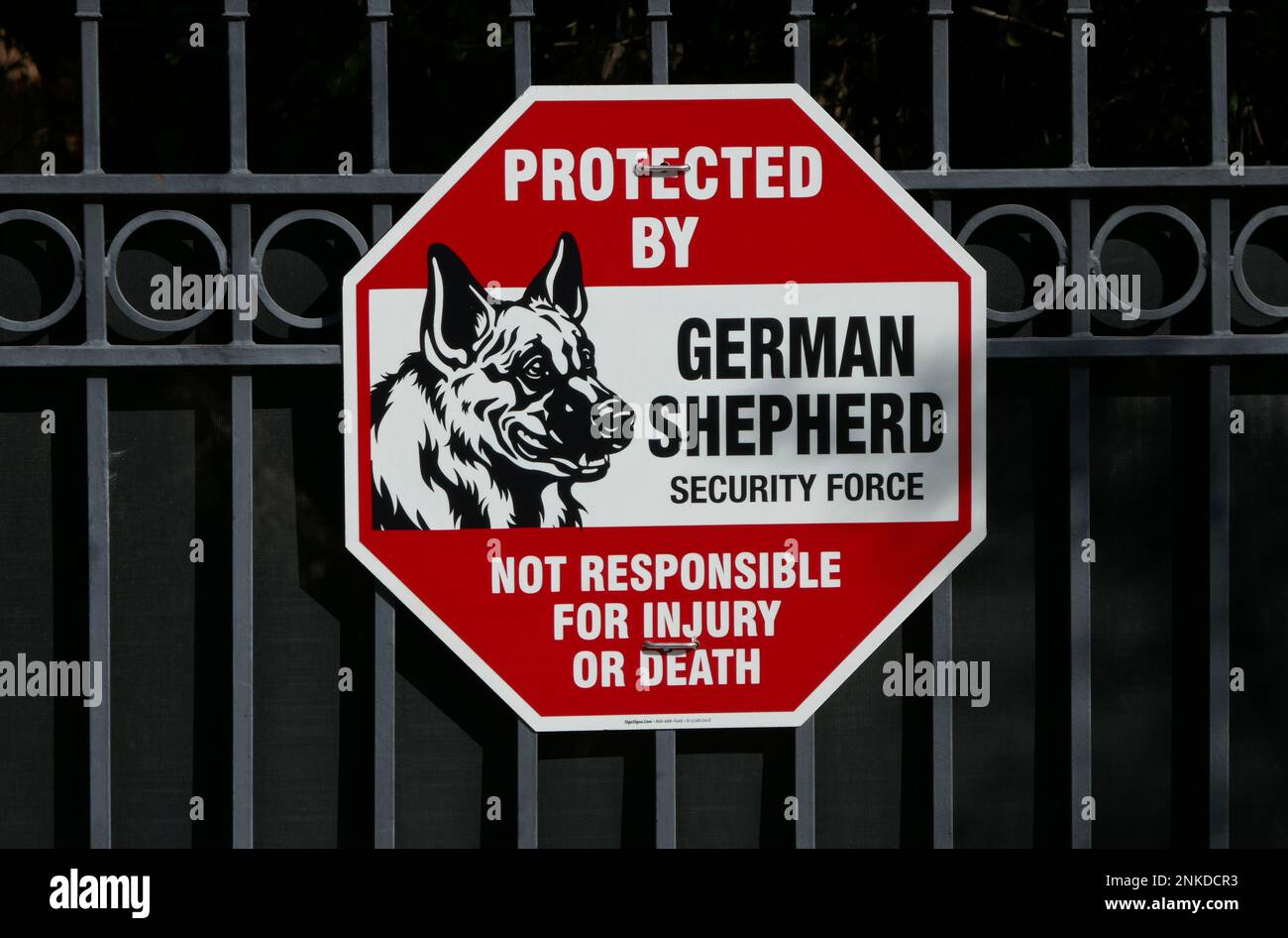 Encino, California, USA 22nd February 2023 Protected by German Shepherd ...