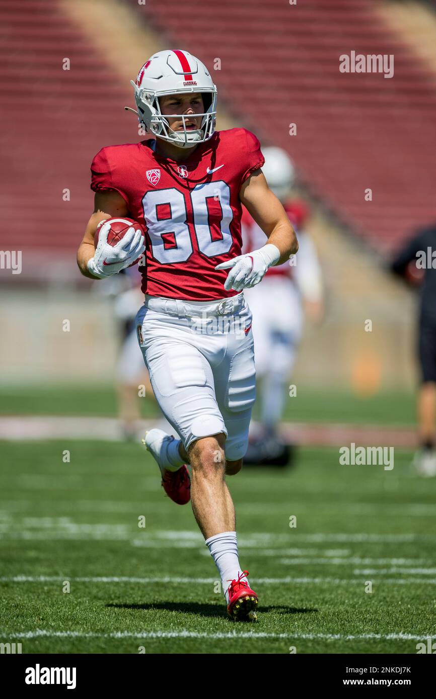 PALO ALTO, CA - APRIL 09: Stanford Cardinal wide receiver David ...