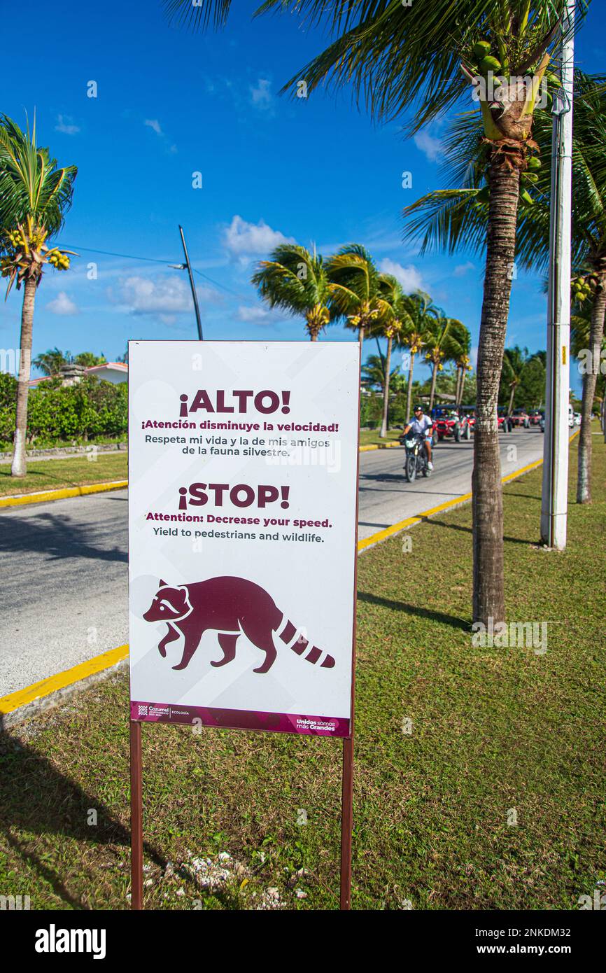 Sign signage watch out for animals mammals rodents creatures hi-res ...