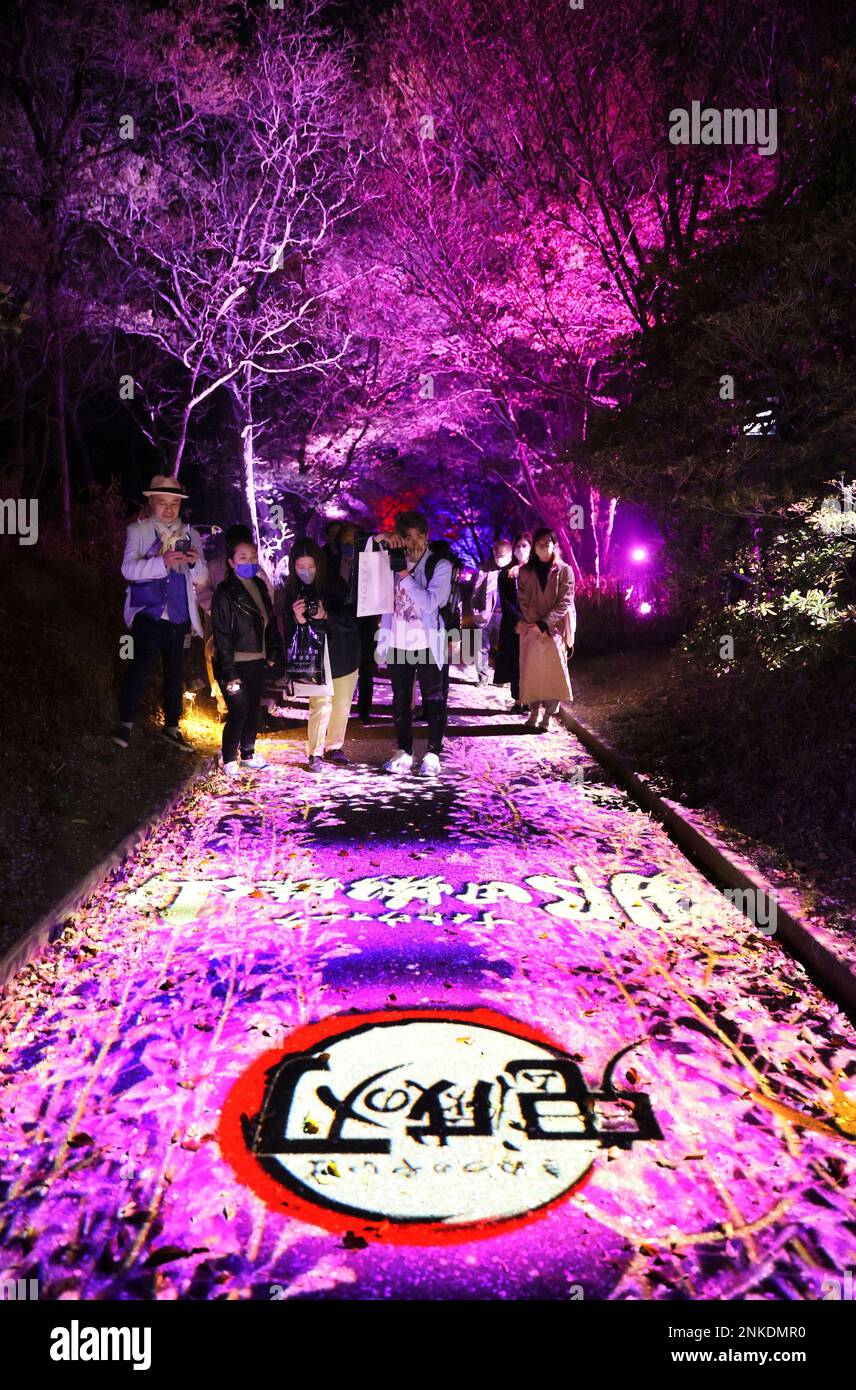 Visitors enjoy viewing a forest featuring the world of Demon Slayer ...