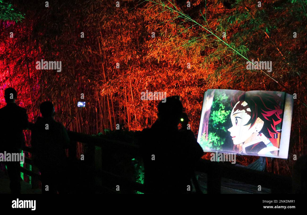 Visitors enjoy viewing a forest featuring the world of Demon Slayer ...