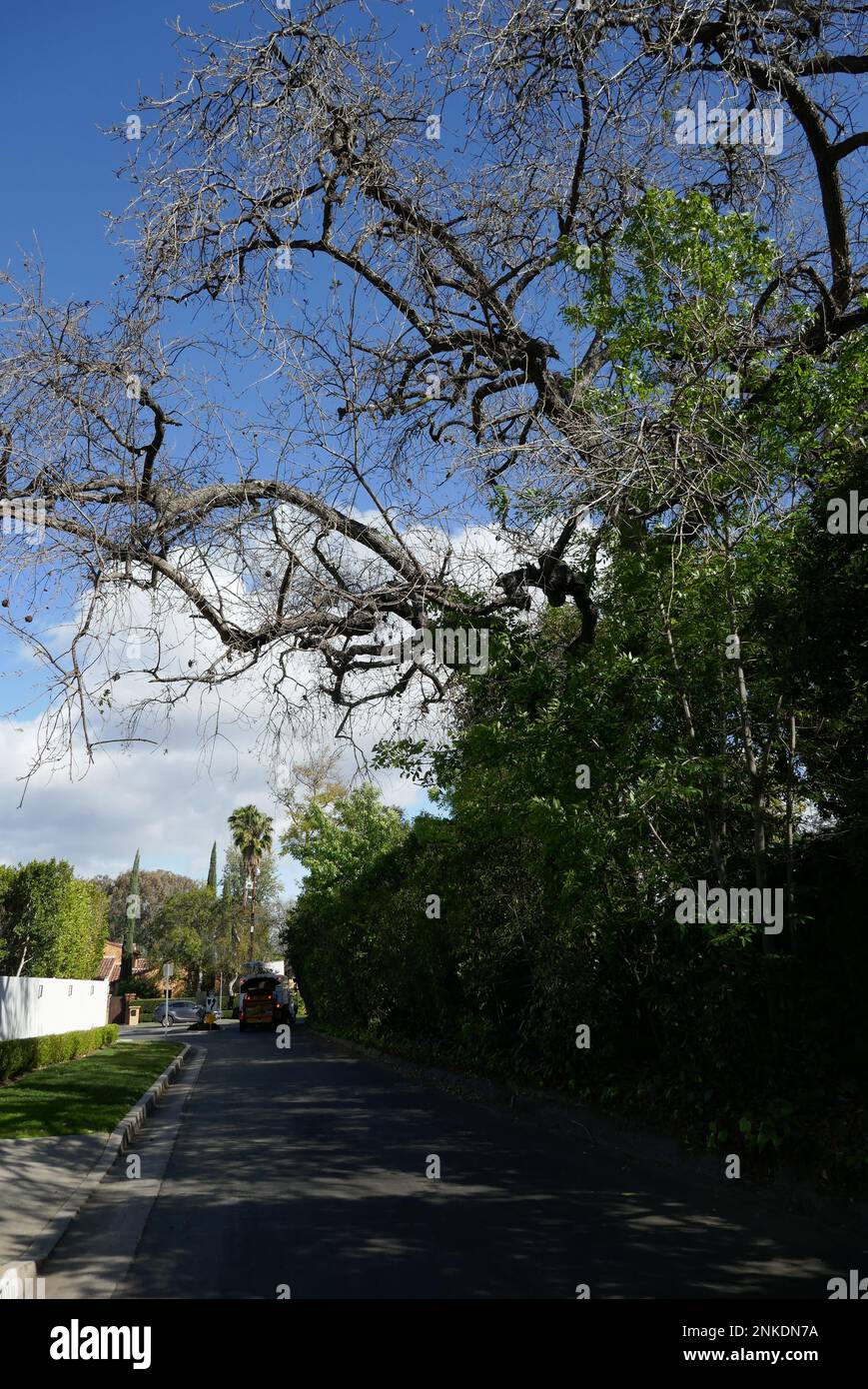 Encino, California, USA 22nd February 2023 Amestoy Estates on Amestoy ...