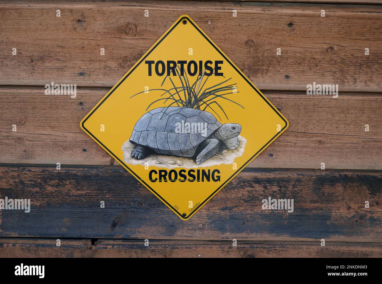 Encino, California, USA 22nd February 2023 Tortoise Crossing Sign in ...