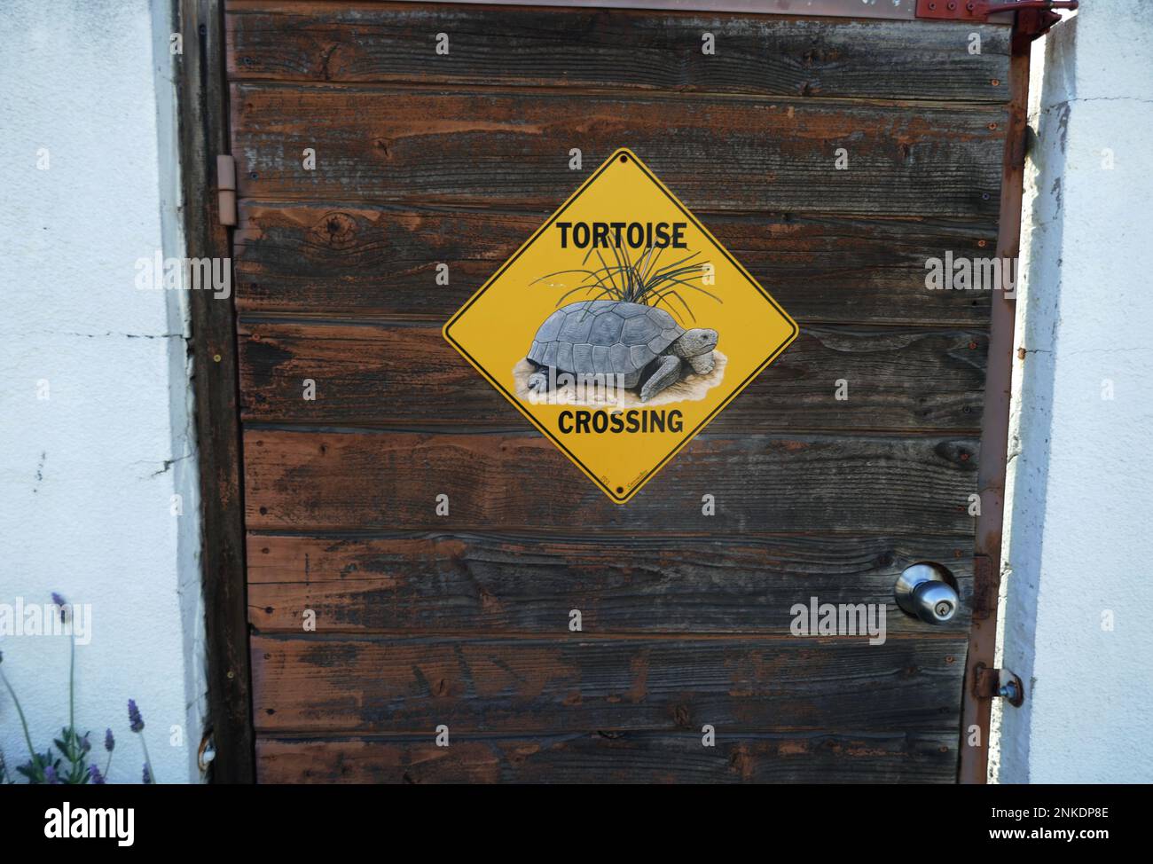 Encino, California, USA 22nd February 2023 Tortoise Crossing Sign in ...