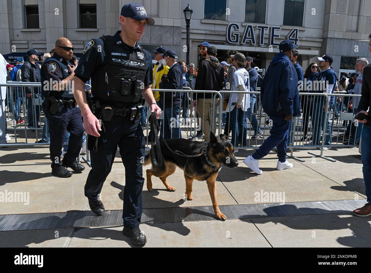Photo by: NDZ/STAR MAX/IPx 2022 4/8/22 A NYPD K9 unit patrols outside ...