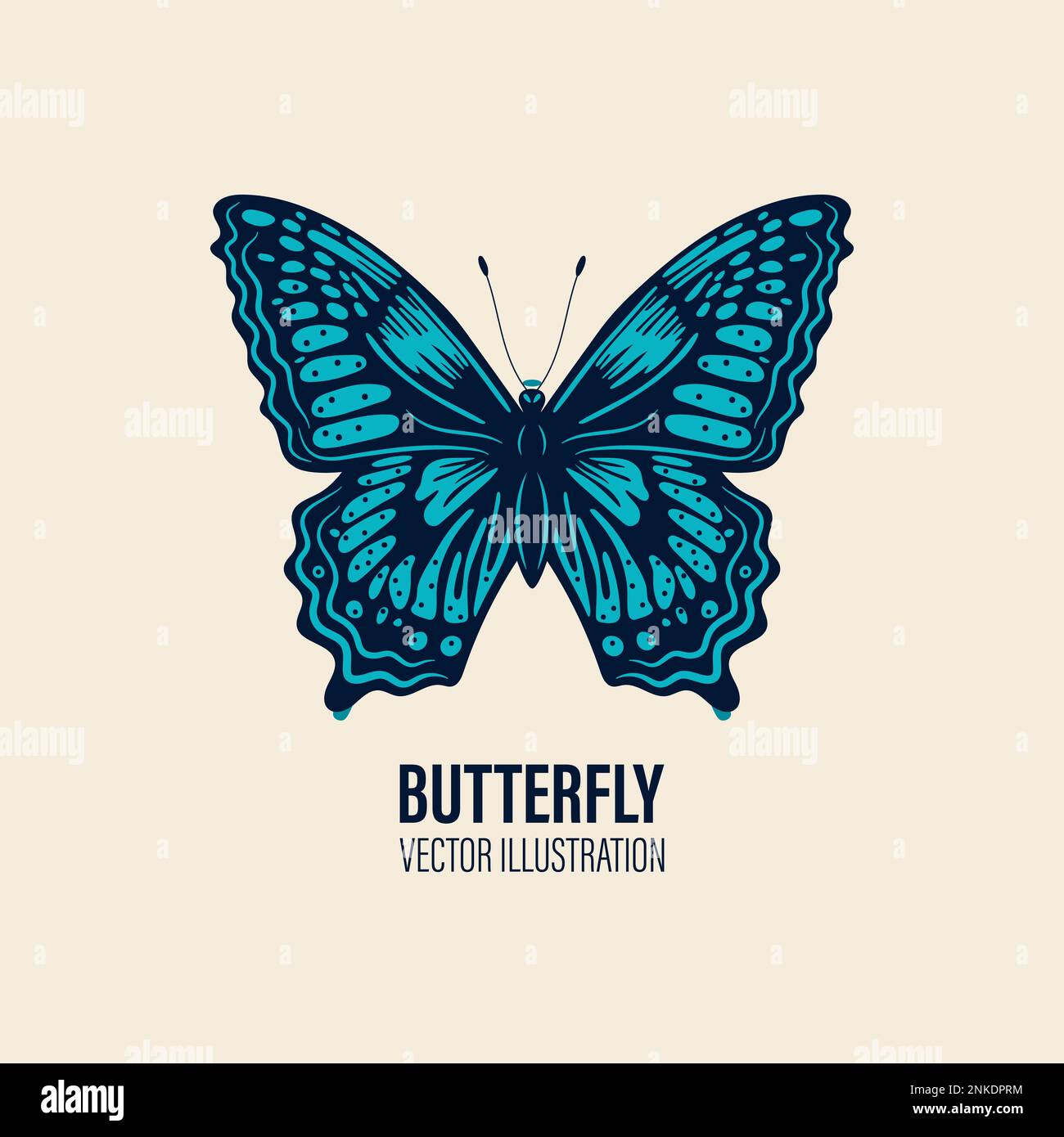 Vector Hand Drawn Butterfly Icon Closeup Isolated on White Background ...