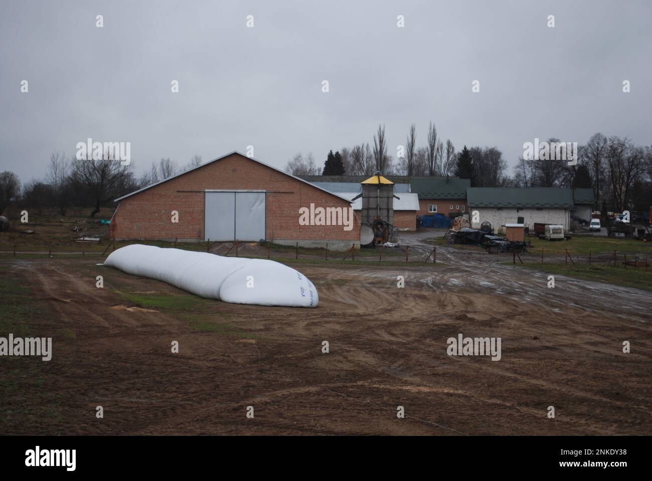 The AgroKorovai farm in the small town of Cherneve in the western ...