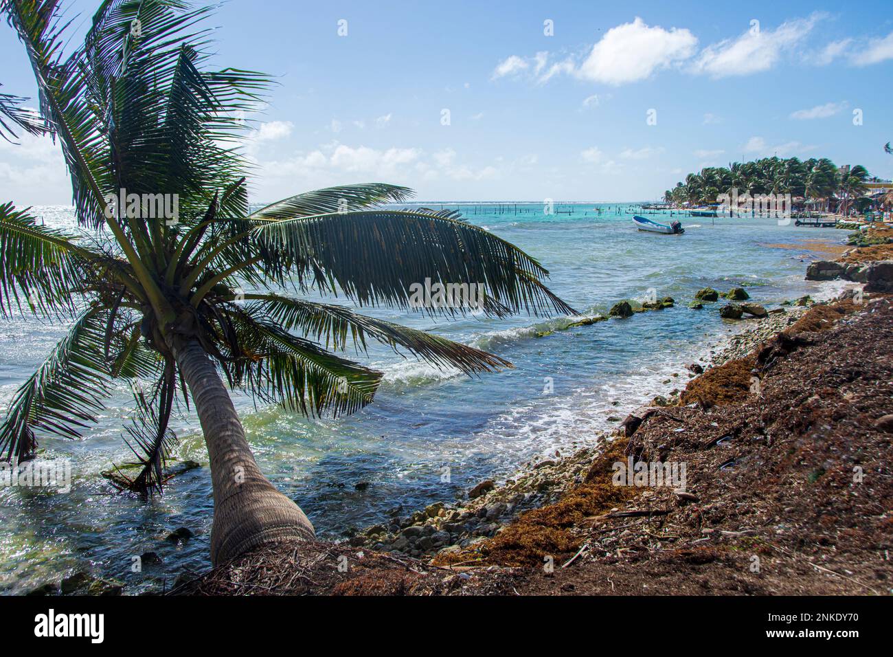 A stretch of ocean, Cozumel, Mexico Stock Photo - Alamy