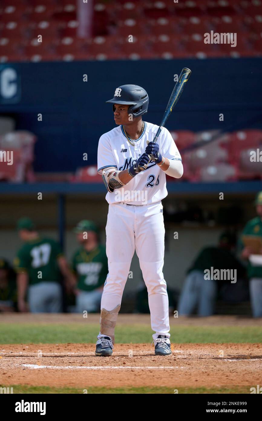 Maine Black Bears Jeremiah Jenkins (28) bats during an NCAA baseball ...