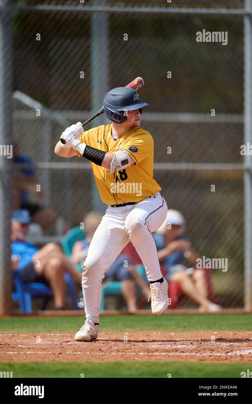 Merrimack Warriors catcher Kurtis Stadnicki (18) bats during an NCAA ...
