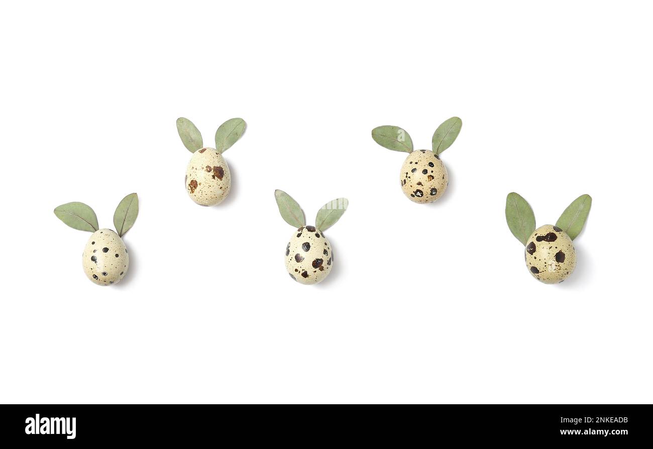 Easter eggs and eucalyptus leaves isolated on white background Stock ...