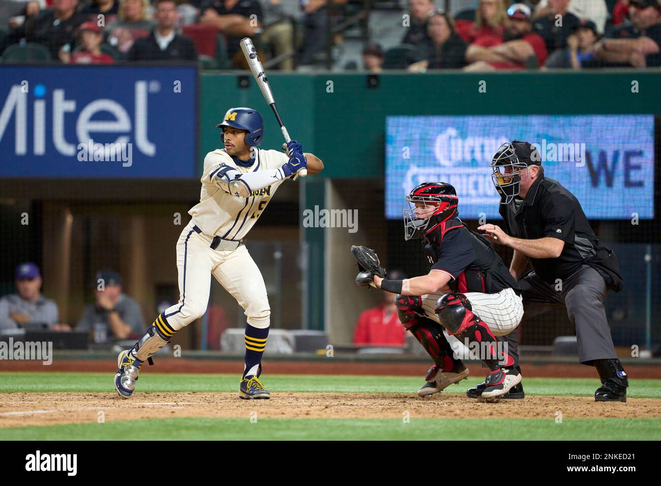 Michigan Wolverines outfielder Clark Elliott (15) bats during an NCAA ...