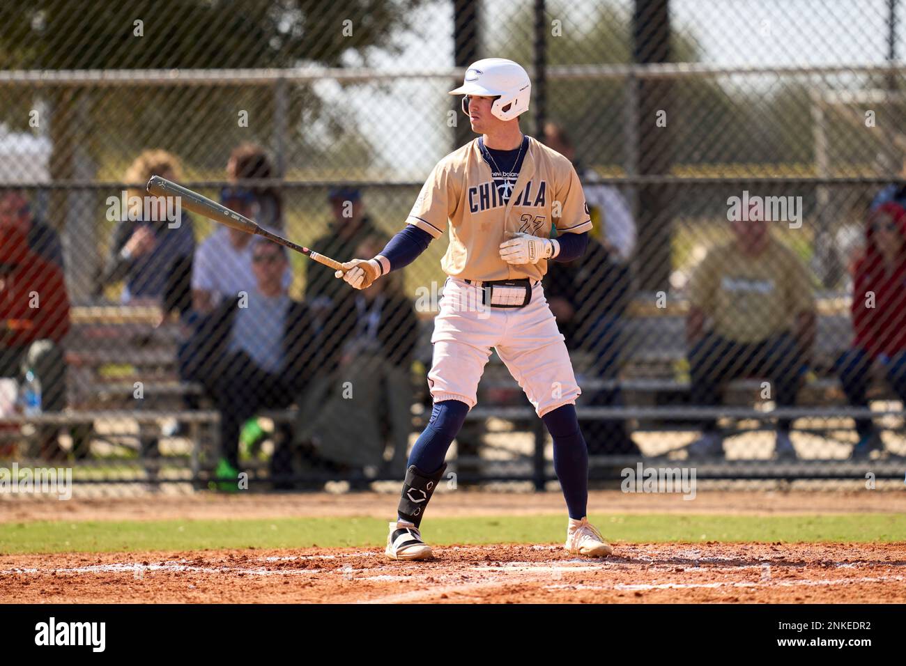 Chipola Indians Shane Lewis (27) bats during a game against the College ...
