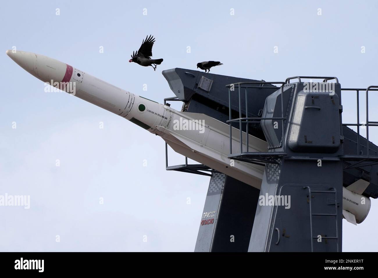 Crows fly over an anti-aircraft missile installed on a warship at a ...