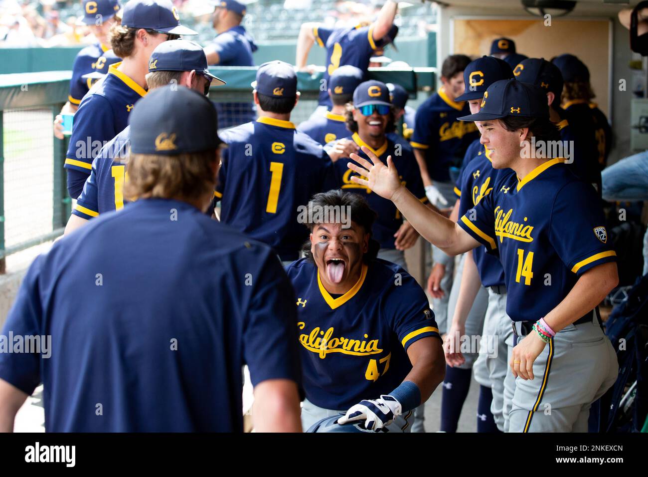 TEMPE, AZ - APRIL 3: California Berkeley Catcher Caleb Lomavita (47 ...