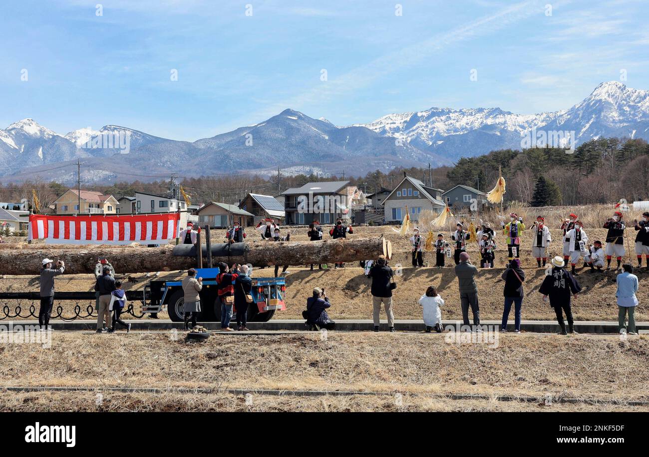 A huge tree is carried by a trailer truck for Onbashira Matsuri, also ...