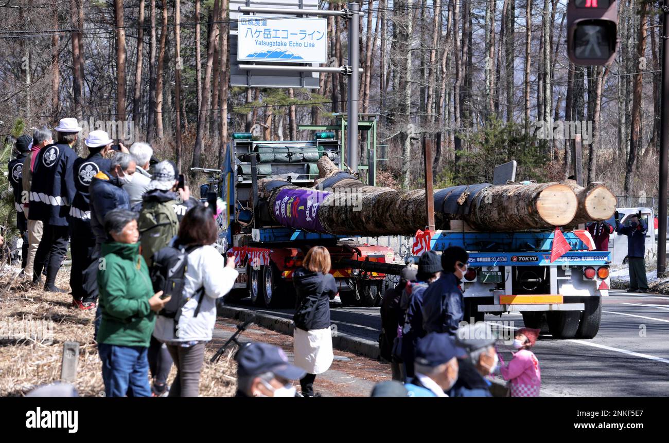 A huge tree is carried by a trailer truck for Onbashira Matsuri, also ...