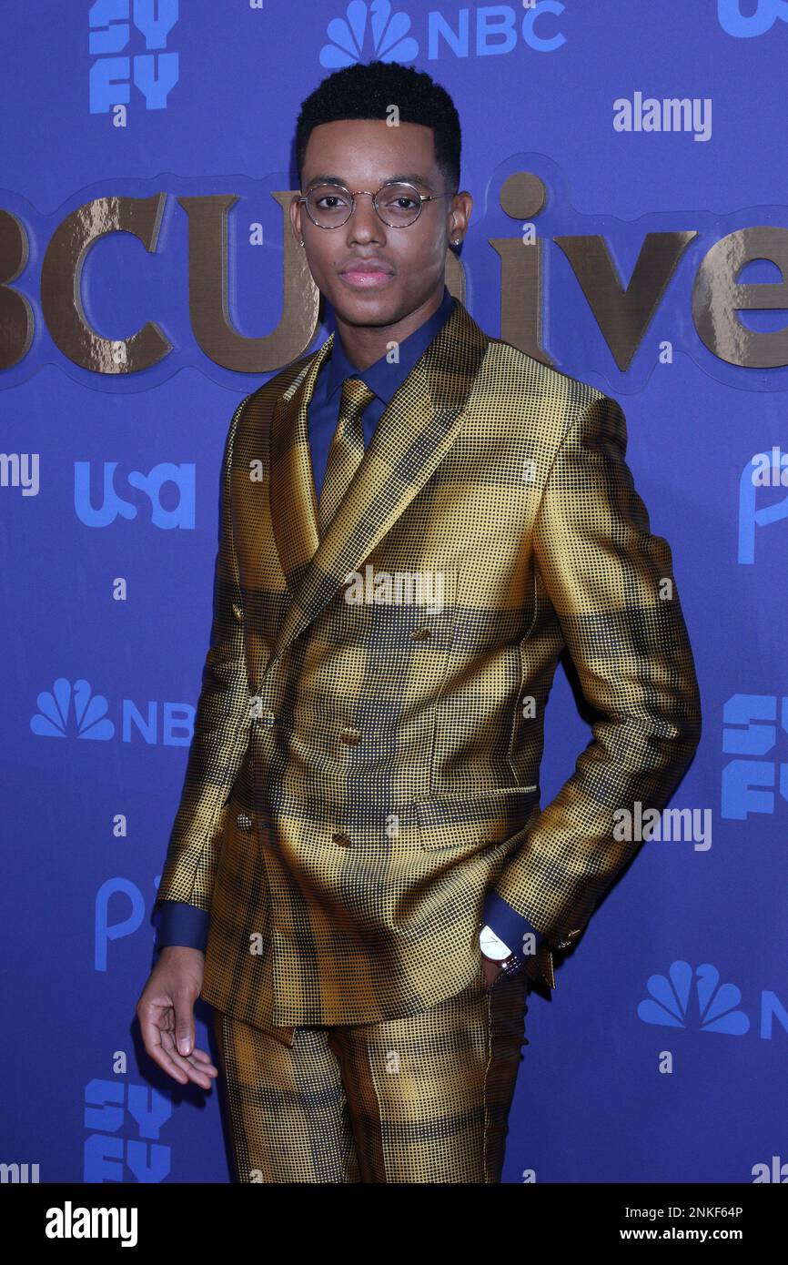 NBCUniversal Press Tour Red Carpet at the Langham Pasadena Hotel on ...