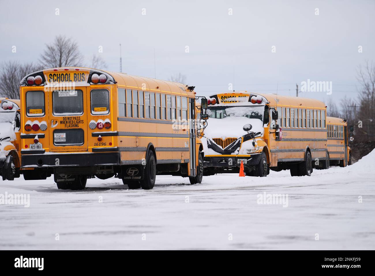 Snow covered school buses are seen in a lot in Ottawa on Thursday, Feb ...