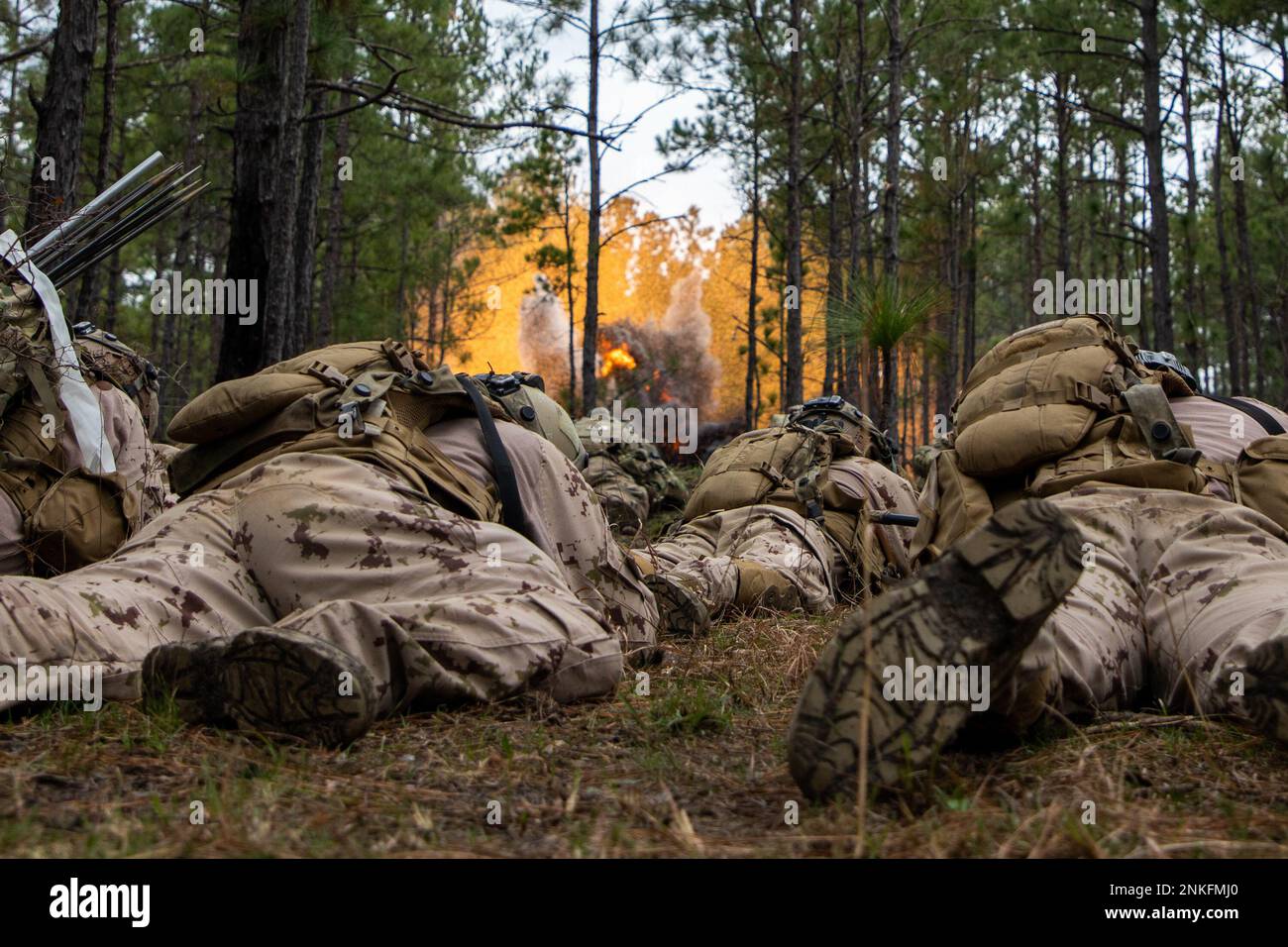 Engineers from the United Arab Emirates 11th Mountain Battalion, the U ...