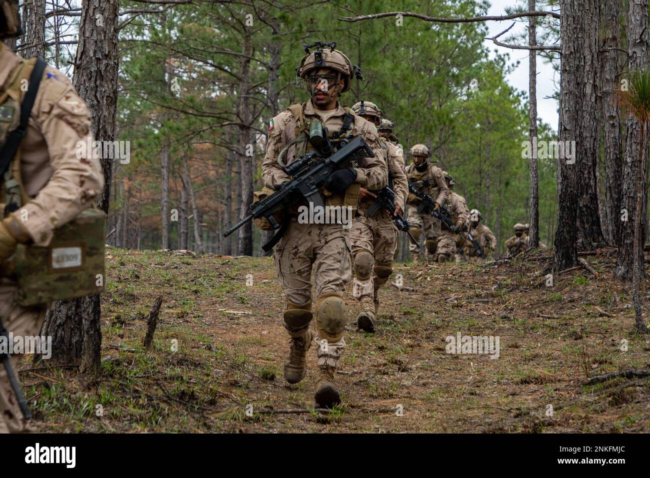 United Arab Emirates soldiers from the 11th Mountain Battalion pass ...