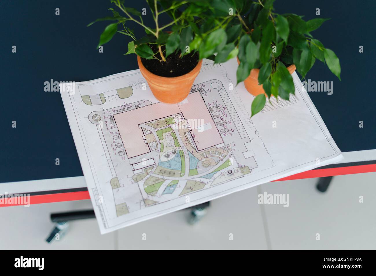 Potted plant on garden plan Stock Photo - Alamy