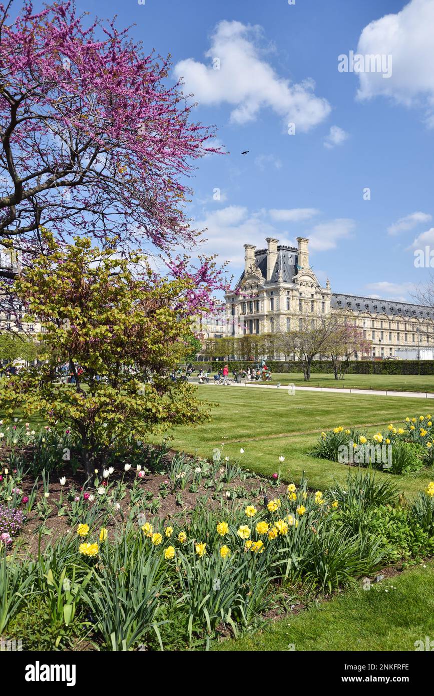 Spring Flowers in Front of the Louvre at Tuileries Garden in Paris ...