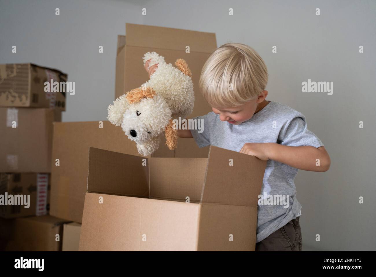 Box packing stuffed toy inside cardboard box Stock Photo - Alamy