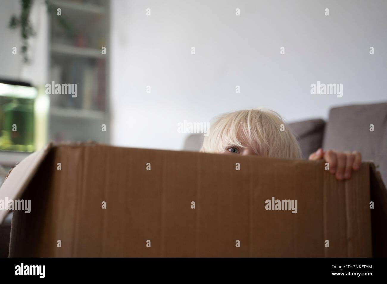 Boy peeking from cardboard box at home Stock Photo - Alamy